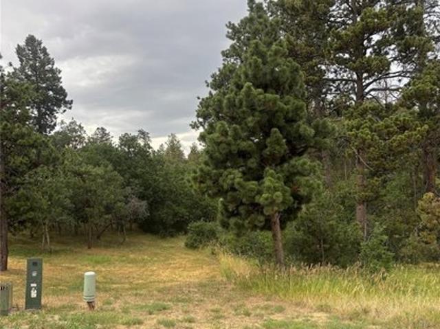 1455 Blueberry Hills Rd, Monument, CO 80132
