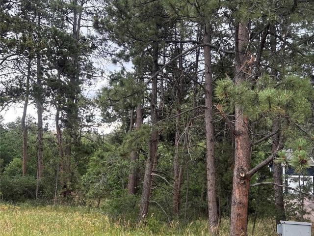 1455 Blueberry Hills Road