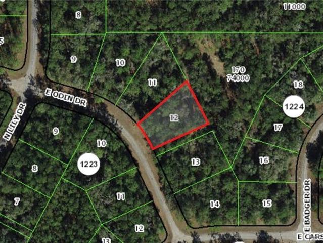 1455 E Odin Dr, Dunnellon, FL 34434