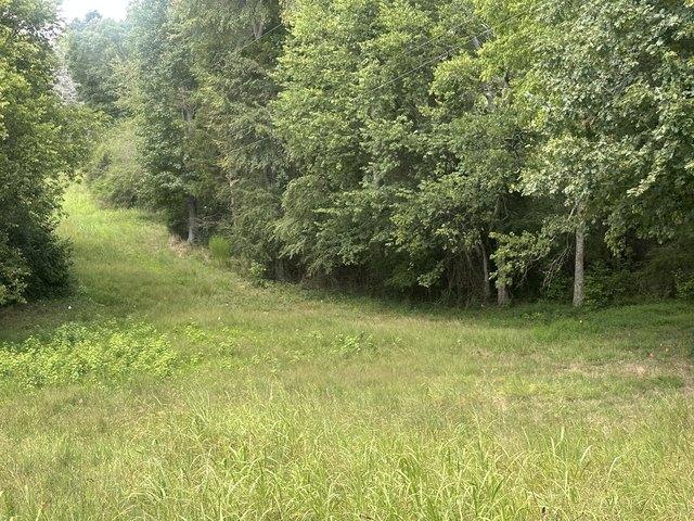 14579 Baker Rd Lot 12, Birchwood, TN 37308