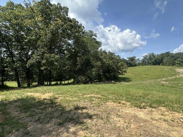 14587 Baker Rd Lot 11, Birchwood, TN 37308