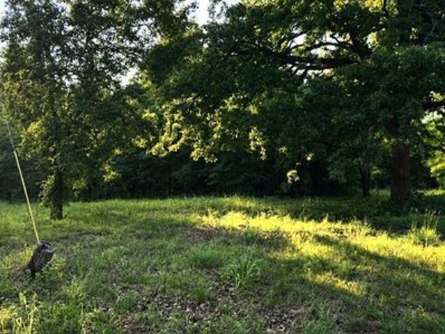 14598 County Road 1122, Athens, TX 75751