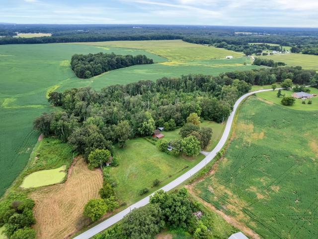 1459 Pete Sain Rd