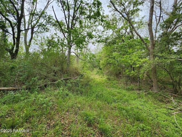 14500 Jasmine Rd, Kaplan, LA 70548