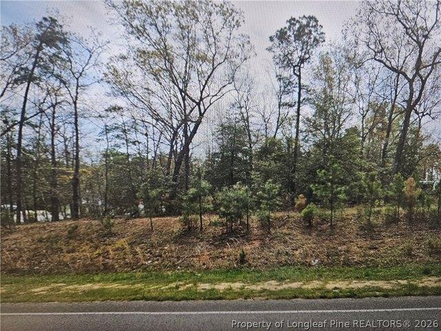 14513 NC 210 Hwy, Angier, NC 27501