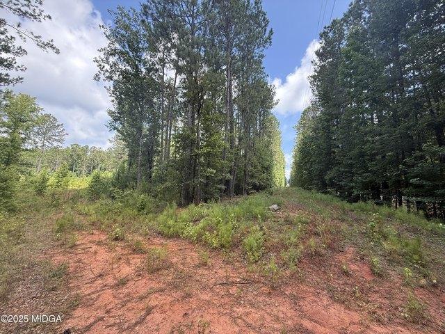 14522 Highway 87 Lot 2, Forsyth, GA 31029