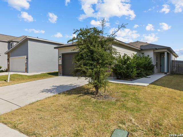 14534 Prairie Clover