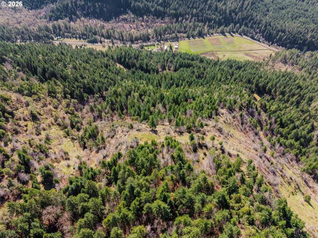 14536 little river rd