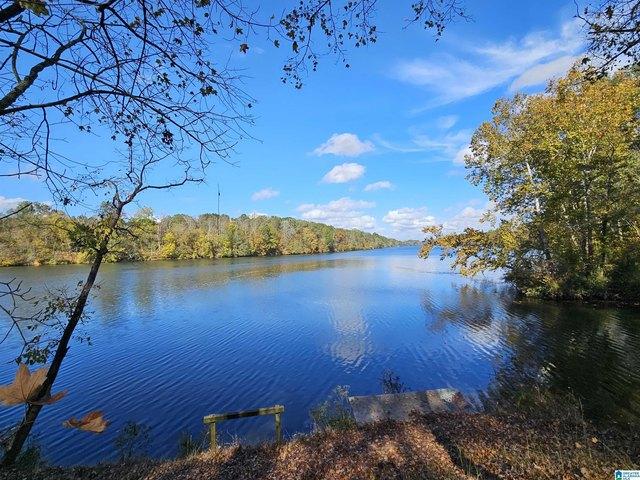 14536 Plant Rd Lot 28, Alpine, AL 35014