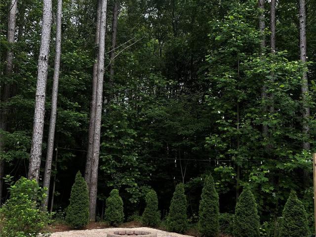 145 Crooked Branch Way