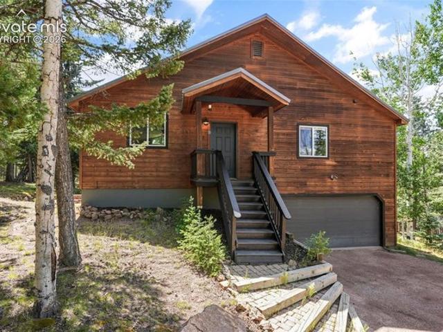 145 Grizzley Peak Rd, Florissant, CO 80816