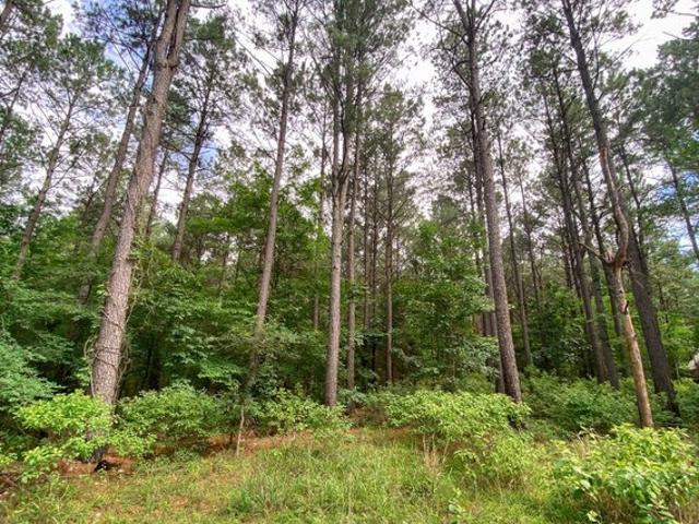 145 Eagle Nest Ln, Broken Bow, OK 74728