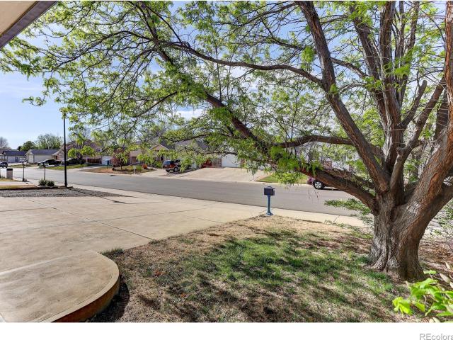 145 Falcon Circle