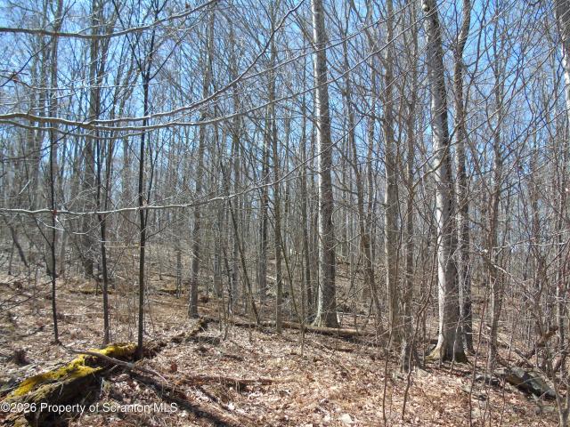 145 Summit Woods Road