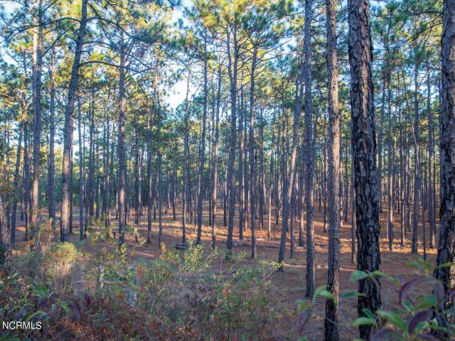 145 Pixie Moss Ln, Southern Pines, NC 28387 | MLS #100463