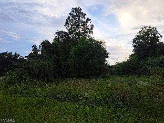 145 Pine Ln, Lehigh Acres, FL 33973