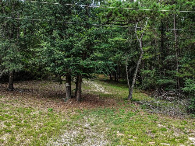 145 Tall Timbers Lane