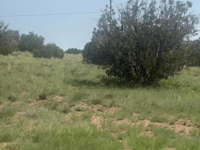 145 Zuni Drive