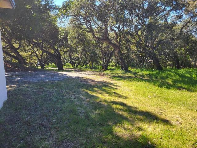 14641 Tumble Weed Lane
