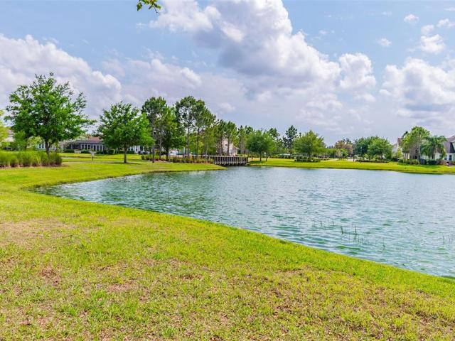 14663 Promenade Pkwy, Odessa, FL 33556 | MLS #O6380