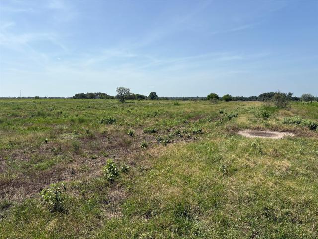 1466 County Road 253A