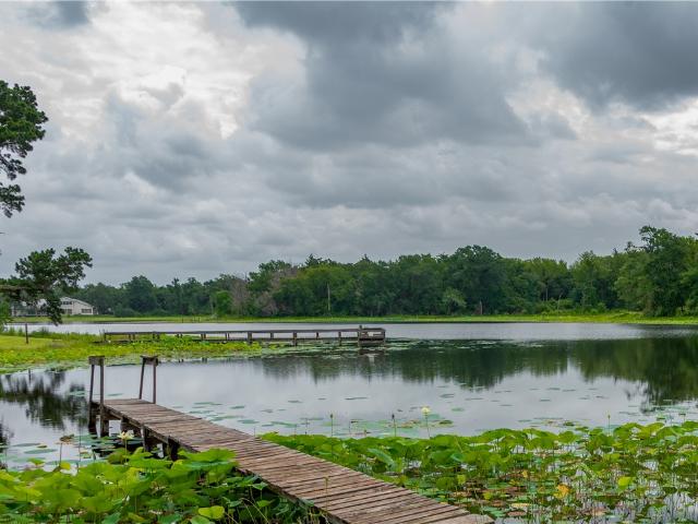 14673 County Road 445