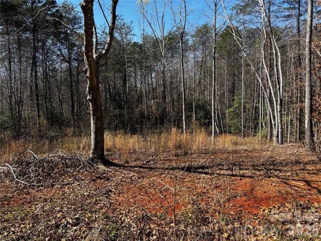 1467 Graycrest Drive
