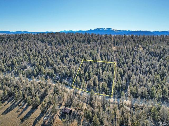1467 Redhill Rd, Fairplay, CO 80440 | MLS #2815