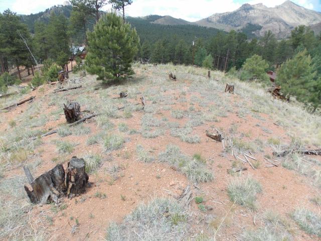 14691 Crooked Trl Rd, Woodland Park, US, CO