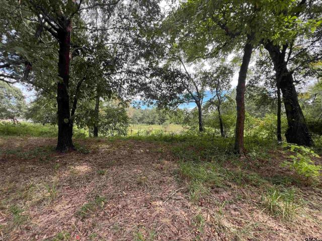 14694 C R 424, Lindale, TX 75771 | MLS #24012 | Compass