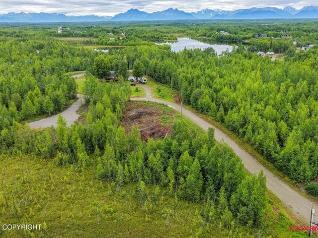 14607 W Lazy Cir, Big Lake, AK 99652