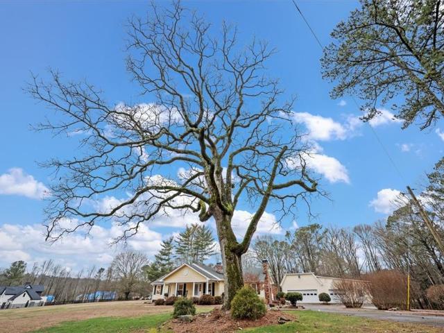 14605 Cogburn Road