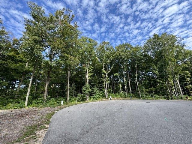 14606 Crest View Ct, South Haven, MI 49090