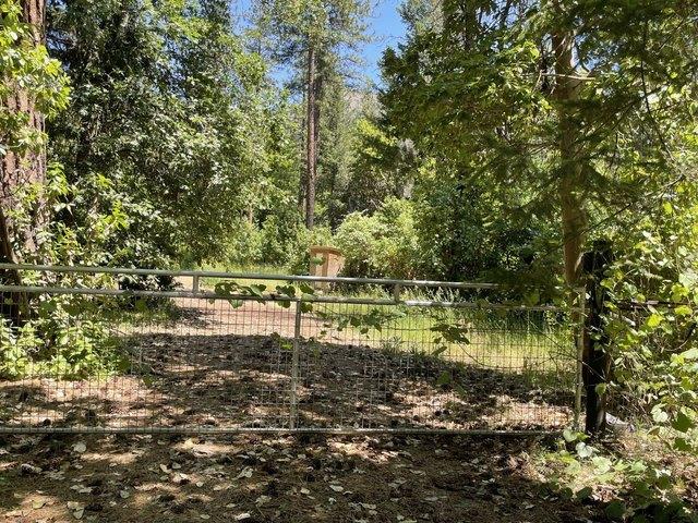 1460 Lake Rd, Junction City, CA 96048