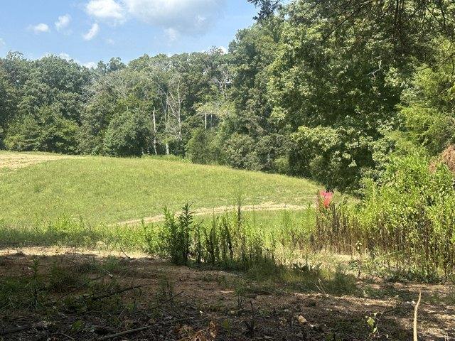 14611 Baker Rd Lot 8, Birchwood, TN 37308