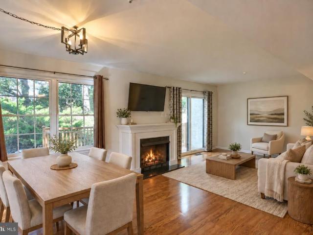 1461 Conifer Drive