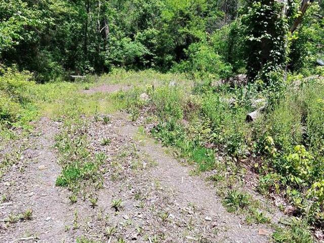 1461 Springfield Pike