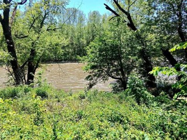 1461 Springfield Pike, Springfield, WV 26763
