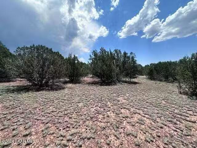 1462 E Barbara Road, Williams, AZ 86046 652856727