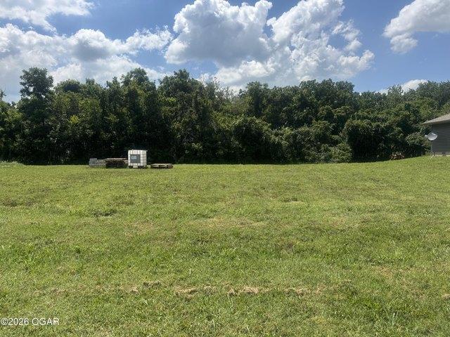 1462 Ridgemont Ave, Monett, MO 65708
