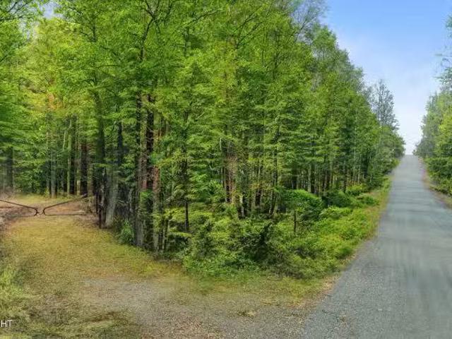 14637 E SUSITNA LANDING RD, WILLOW, AK 99688 Vacant Land For S.
