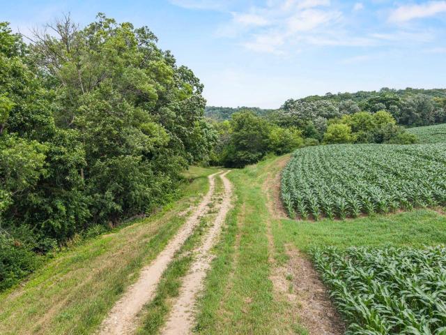 146 +/ Acres Otto Kerl Road