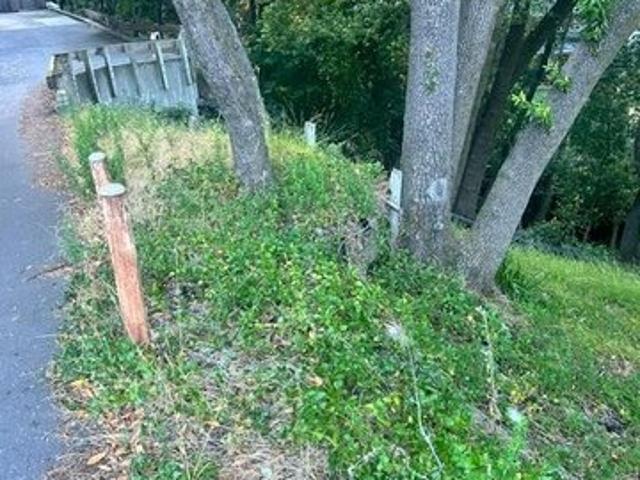 146 Allyn Ave, San Anselmo, CA 94960