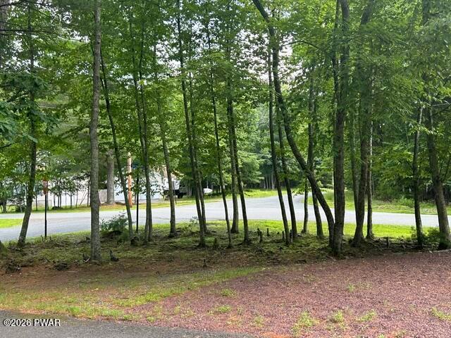 146 Bernadette Drive
