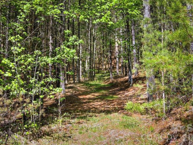 146 Bream Flats Drive. Unit 40, Nebo, NC 28761 | MLS #4372 | Compass