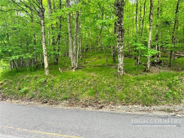 146 Hornbeam Rd, Beech Mountain, NC 28604