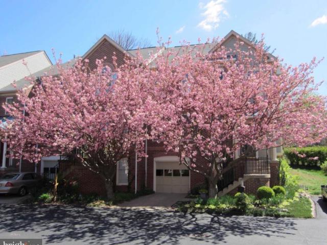 146 Mosby Circle