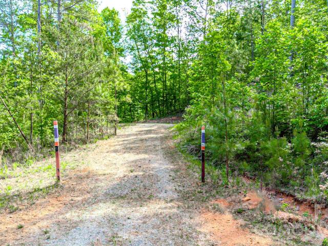 146 S Branch Drive