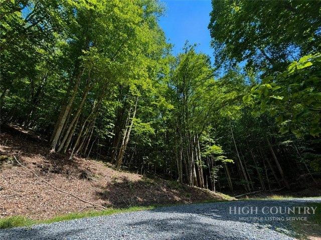 146 Sassafrass Rd, Beech Mountain, NC 28604