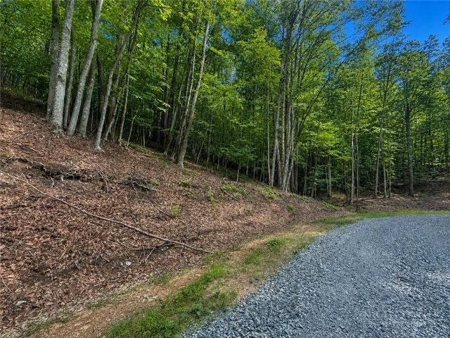 146 Sassafrass Road